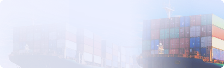 Translation Services